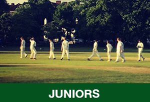 'Old Ruts' - Old Rutlishians Cricket Club